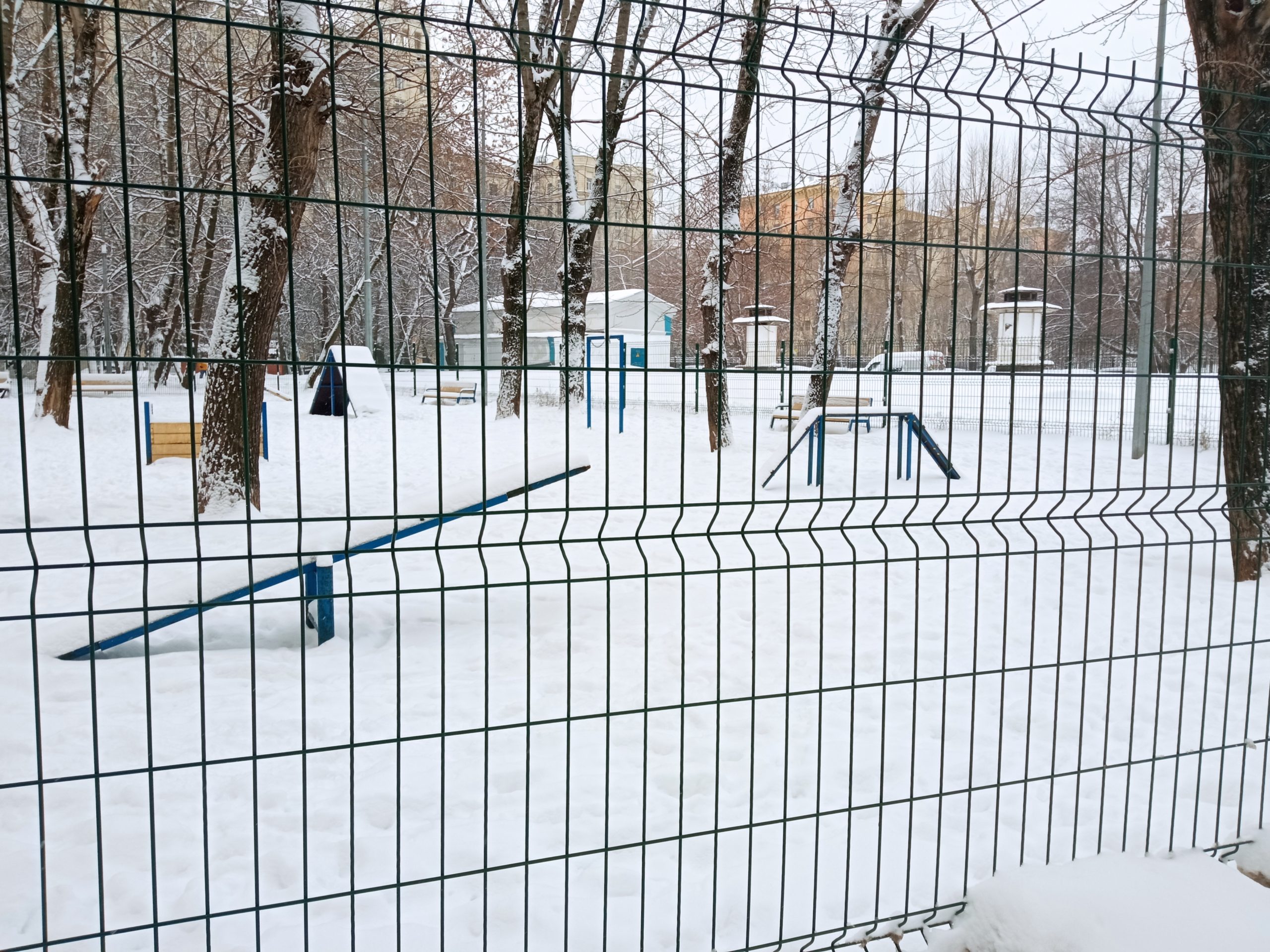 Ограждение площадки для выгула собак из 3D сетки - новости SmartFence